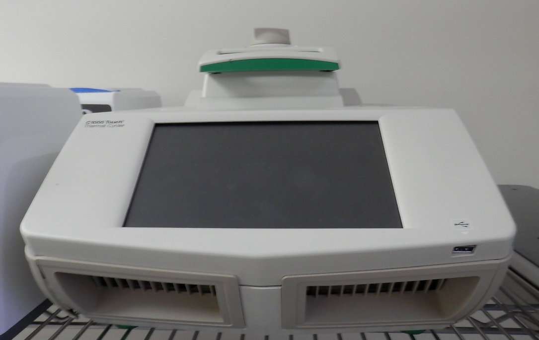 Thermal Cyclers: BioRad C 1000 Touch Thermal Cycler